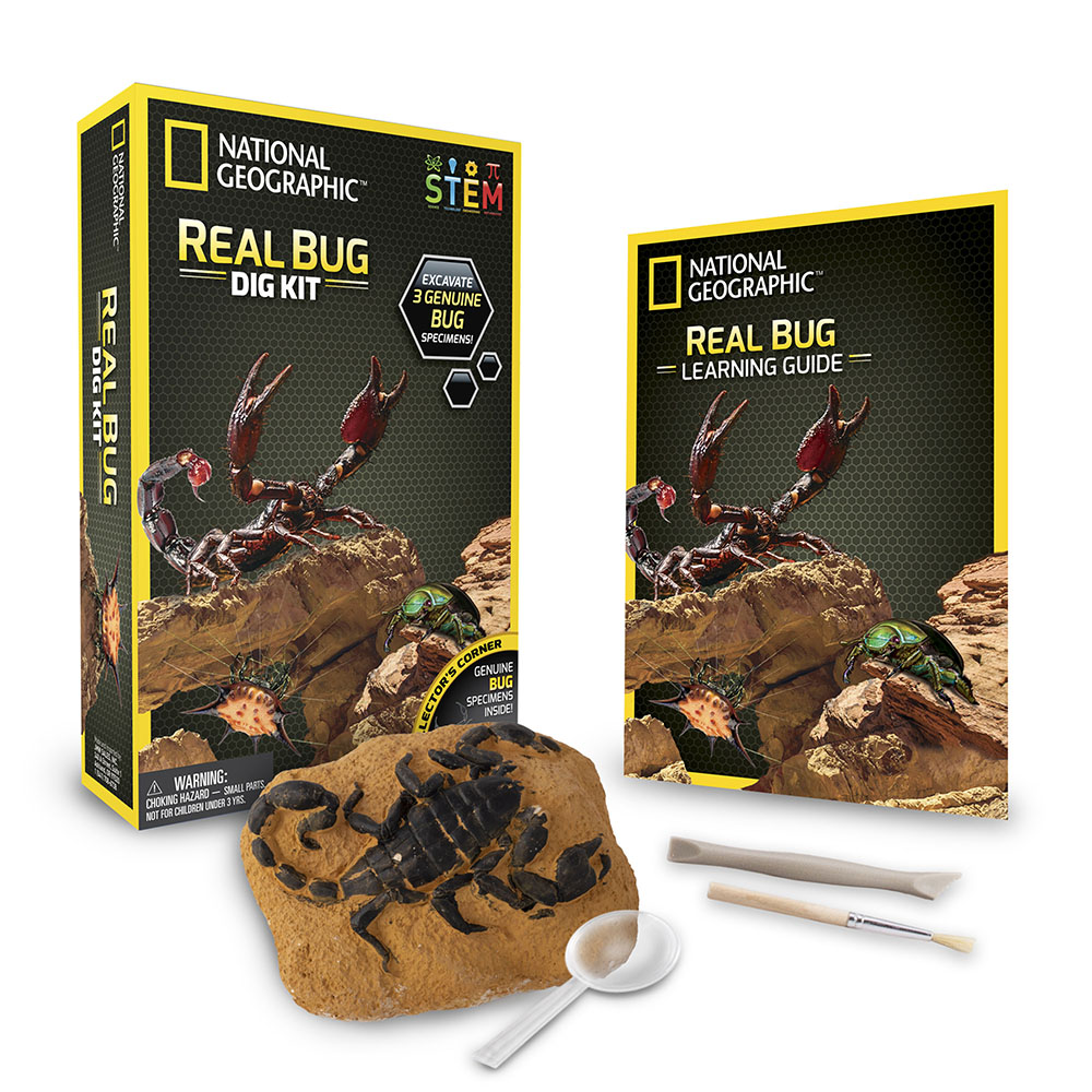 National Geographic Real Bug Dig Kit - Toy Station